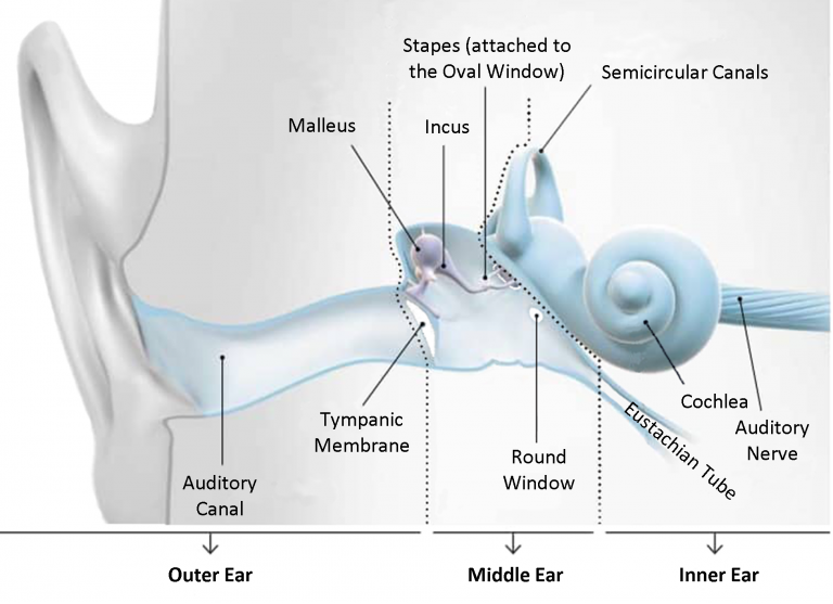 (2021) Ear Barotrauma: What Chamber Operators Should Know - learn ...